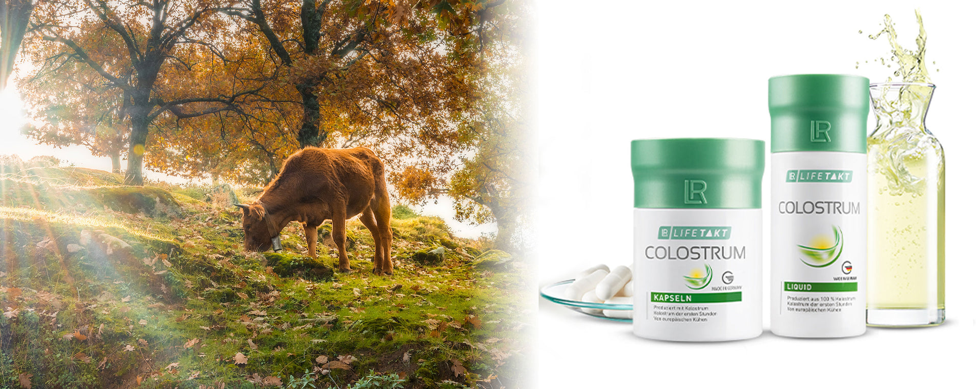 Lifetakt Colostrum von LR – LR VIP